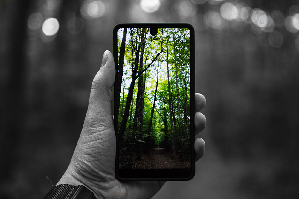 Concours photos - Connexion Nature